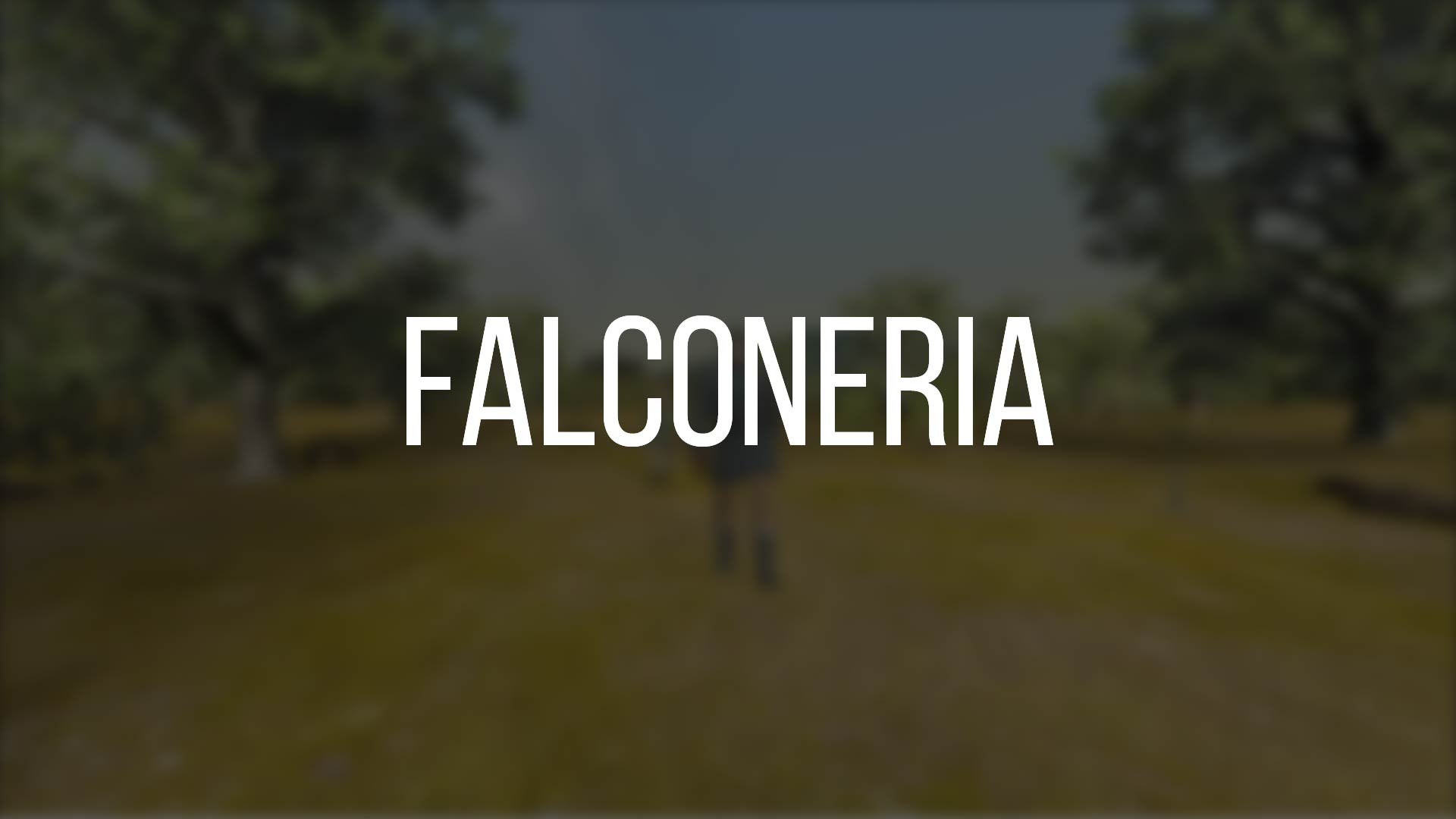 Sula Chiovenda - Personal Portfolio